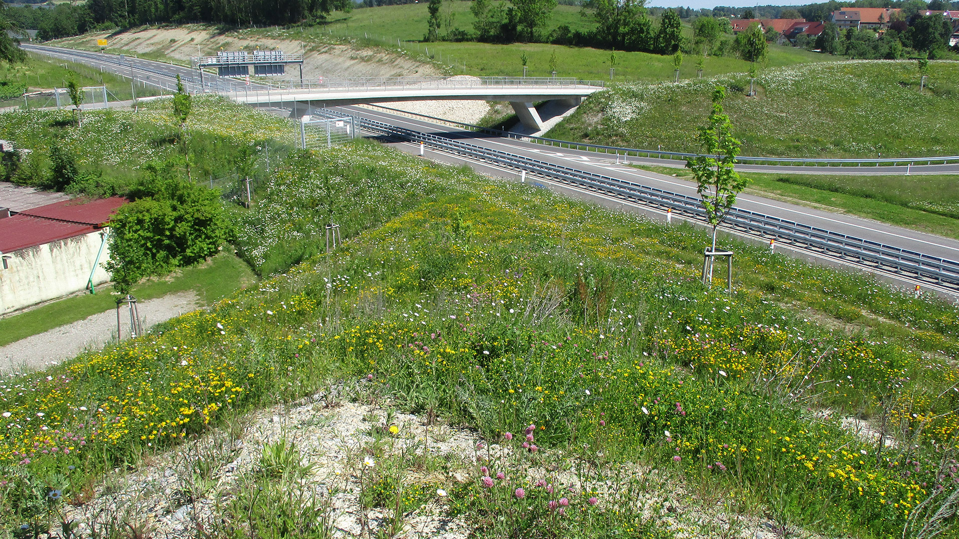 Bau der B31 - Eberhard Landschaftsarchitekten